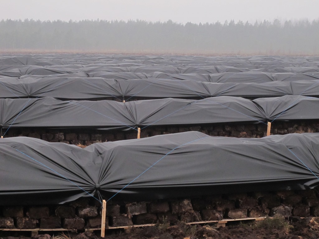 High-quality peat cover film for effective protection | Rani Plast