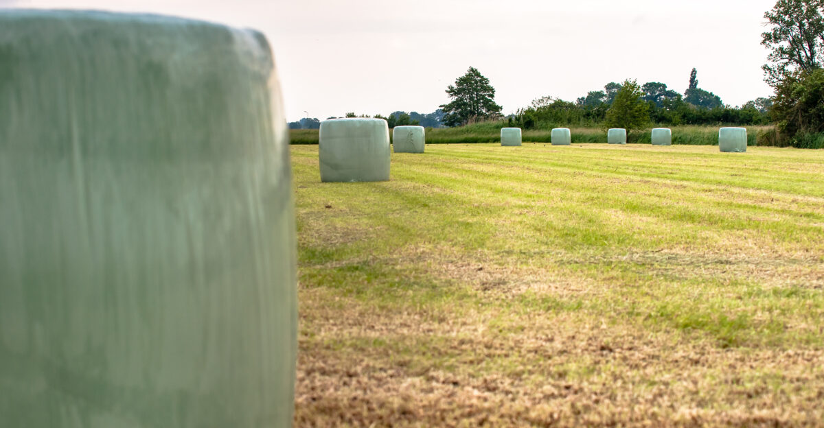 Product feature - Repel | Rani Plast