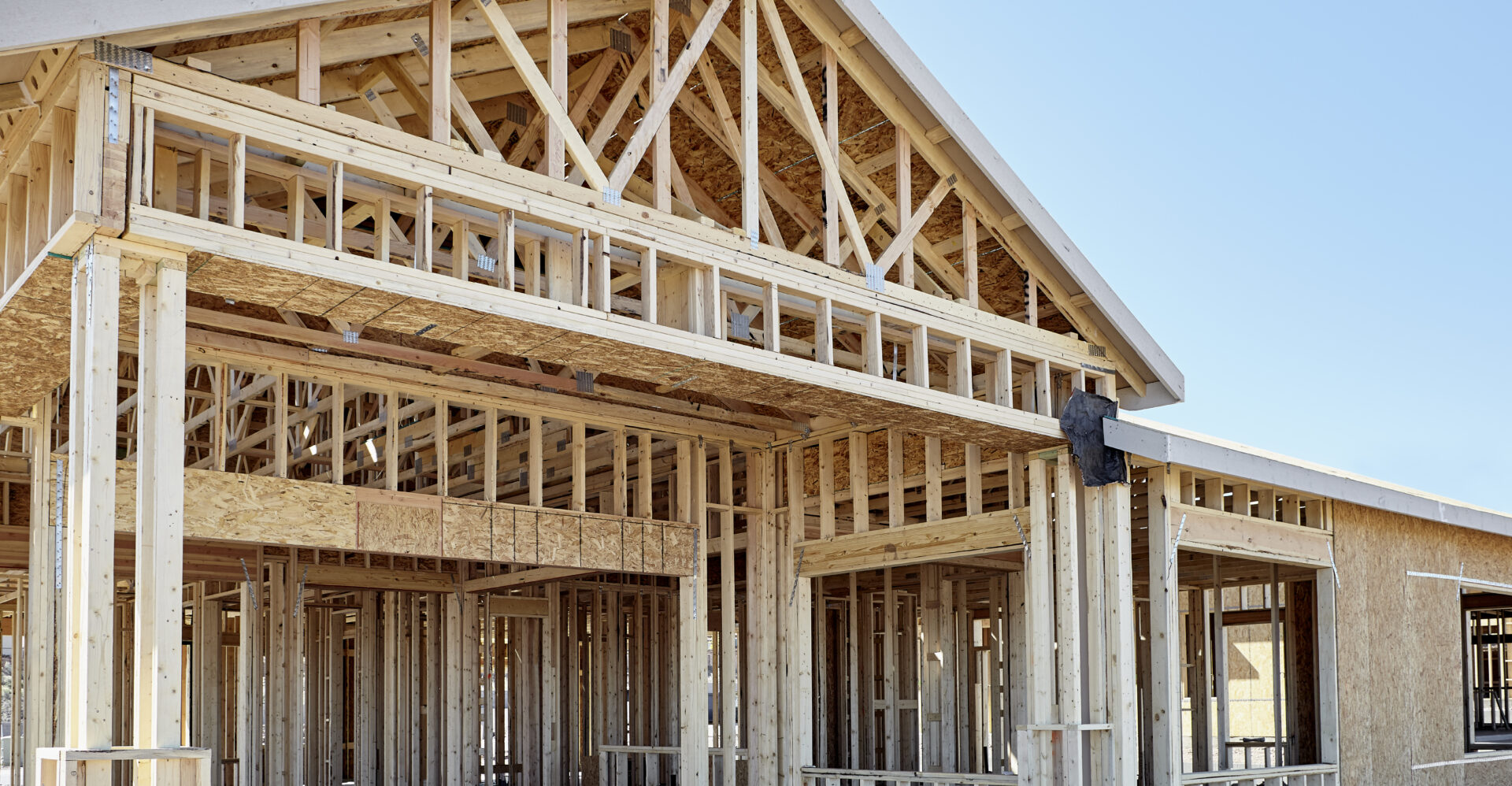 Packaging solutions for engineered wood | Rani Plast