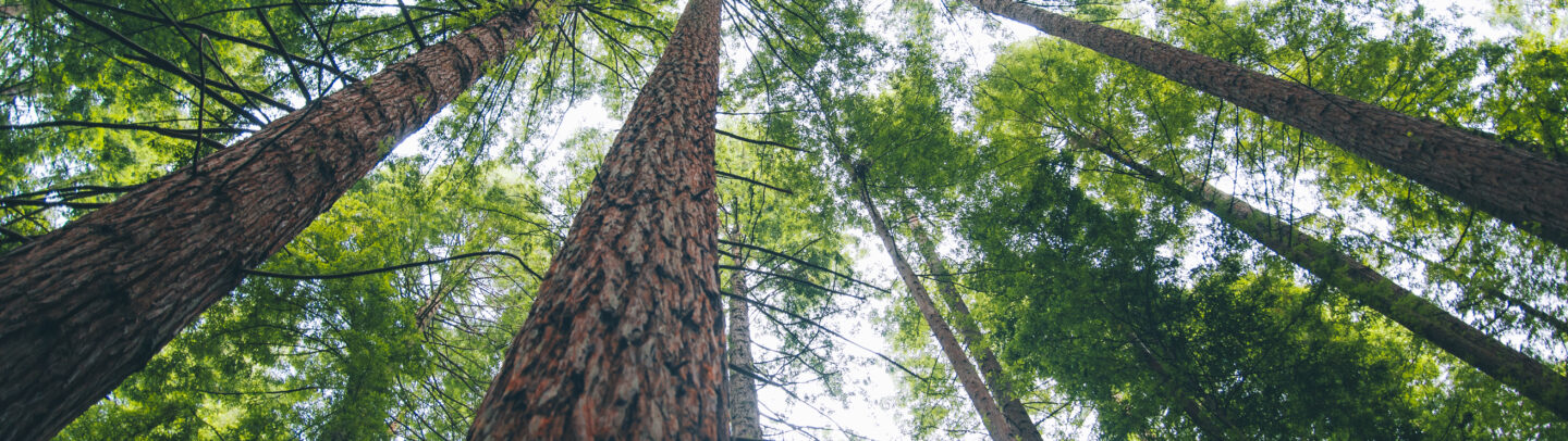 Raaka-aineet | Rani Plast